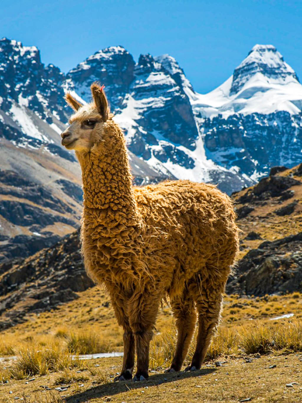 Bolivien, das Herz Südamerikas - eine Weltweitwandern Reise