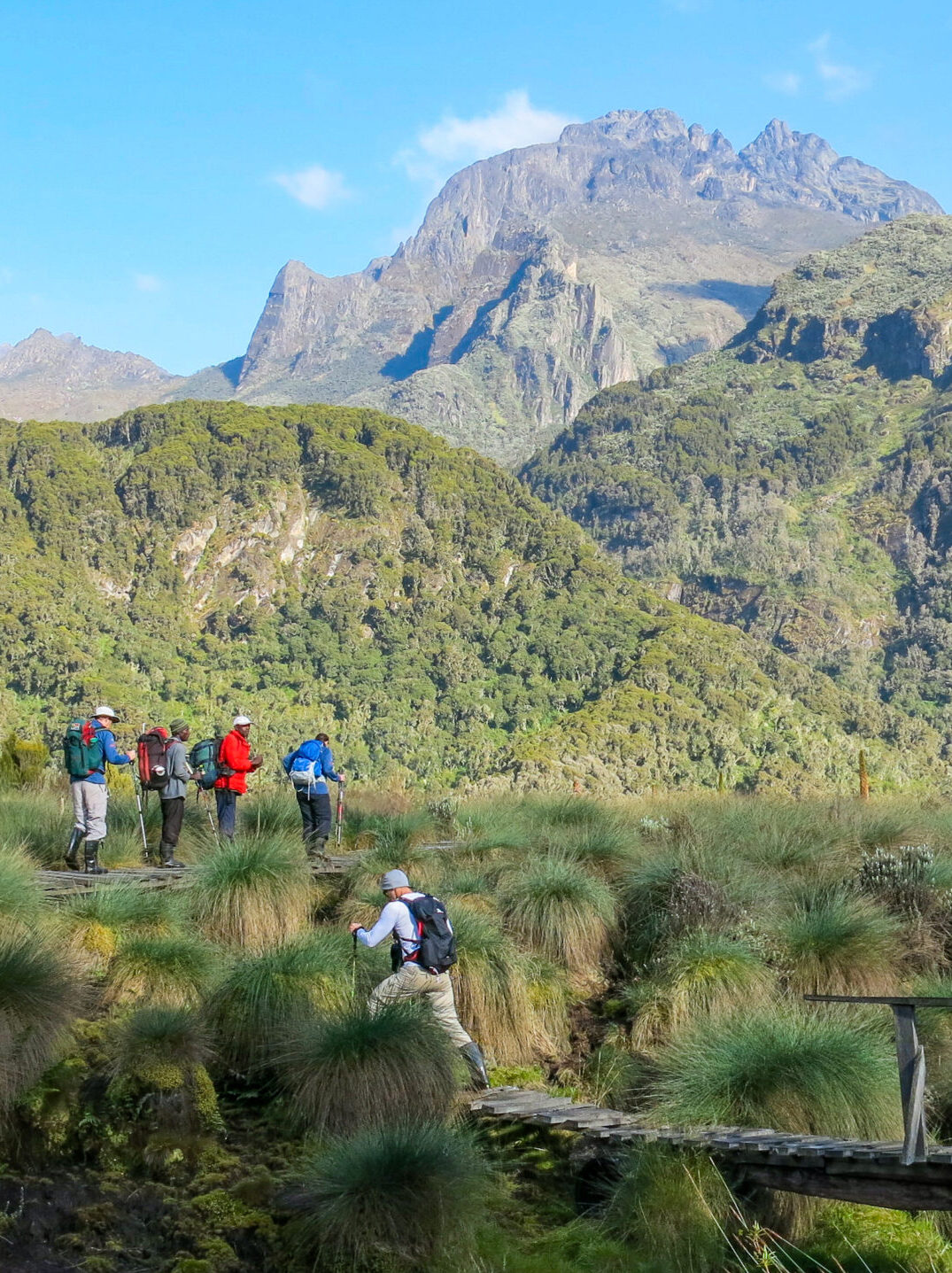 Trekking
